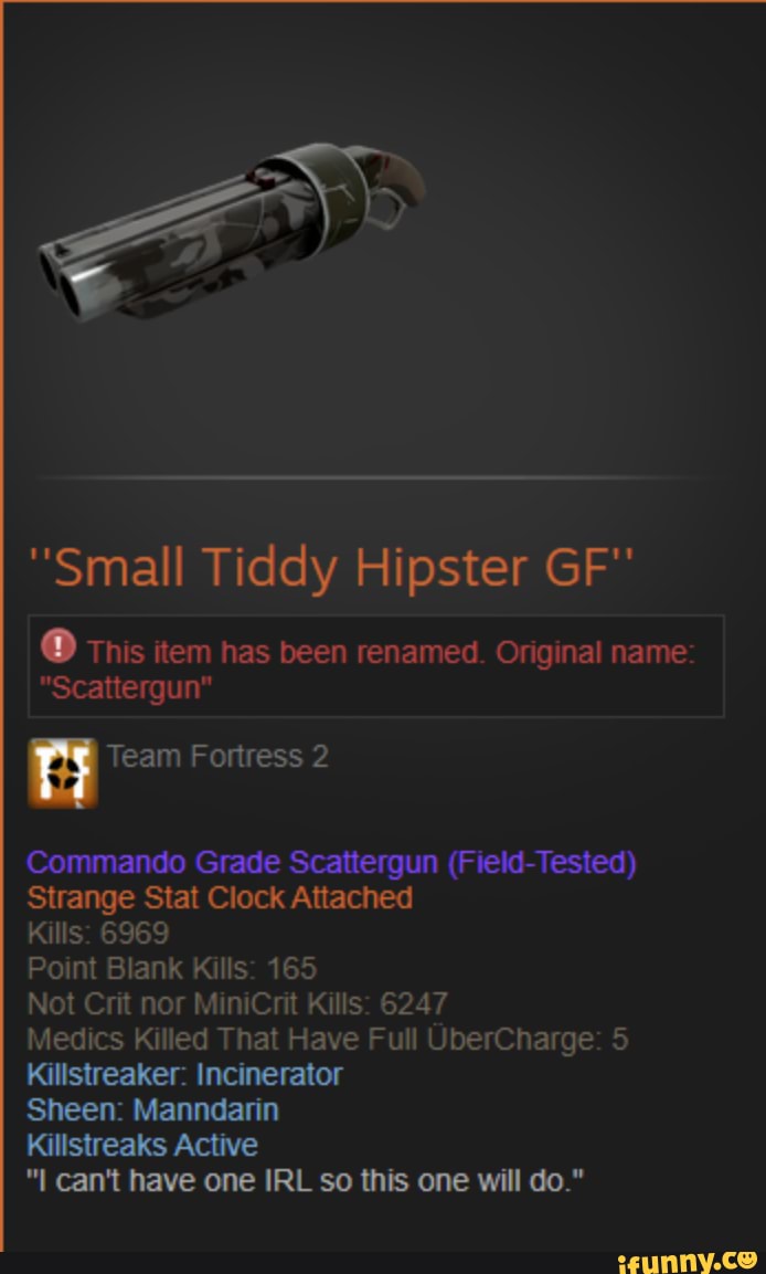 Scattergun names - "Small Tiddy Hipster GF" @ This item has been ...
