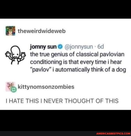 Does this #meme ring a bell? - theweirdwideweb jomny sun the true ...