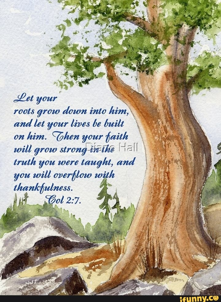 Let your roots grow down into him, and let your lives be built on him ...