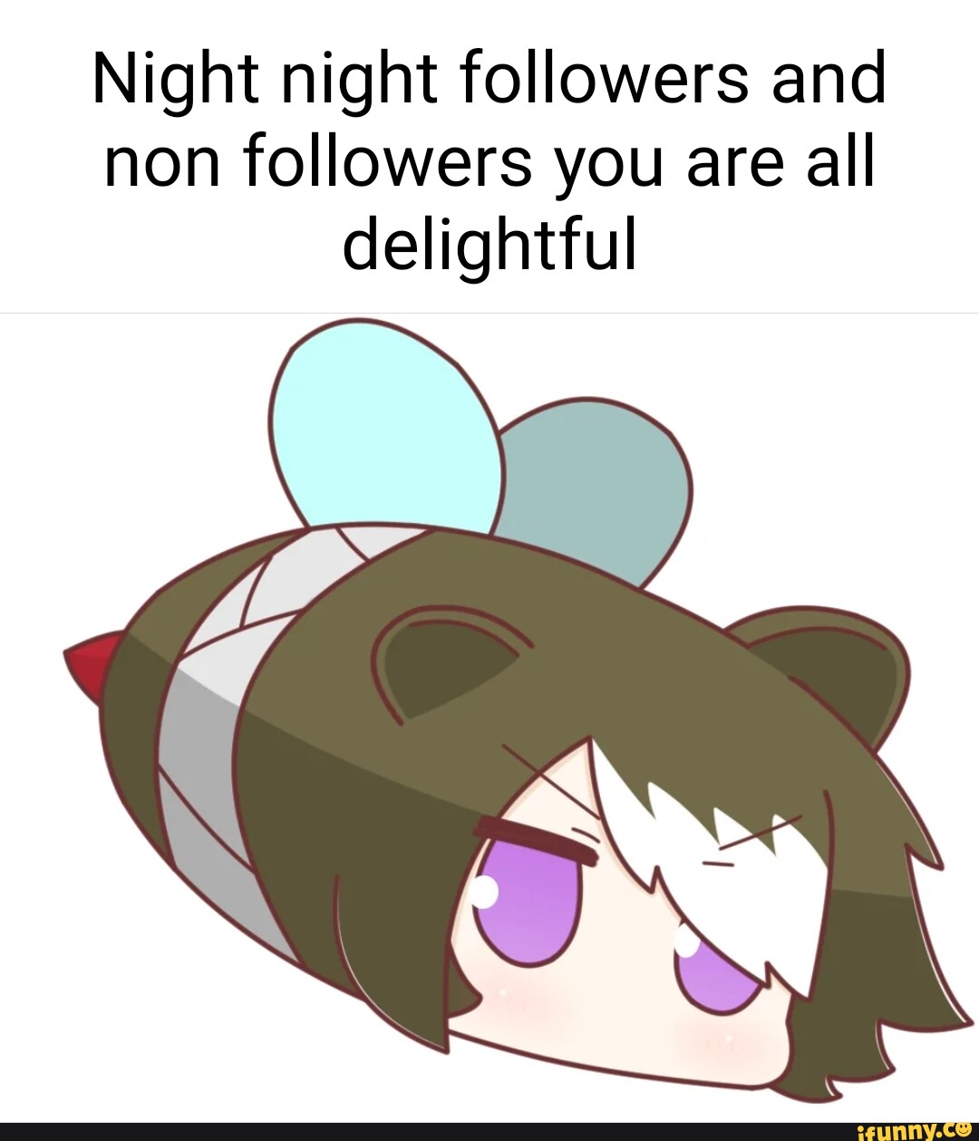 Night night followers and non followers you are all delightful - iFunny