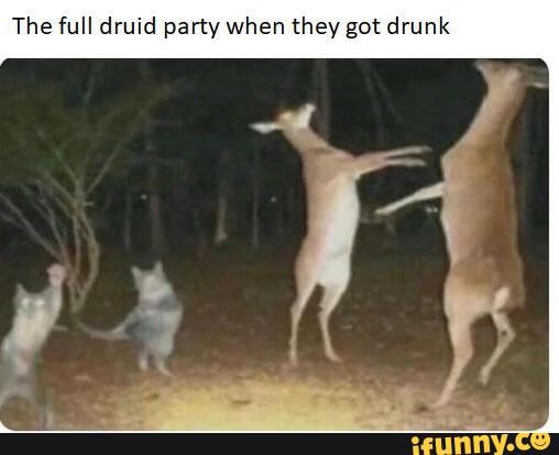 The full druid party when they got drunk - iFunny