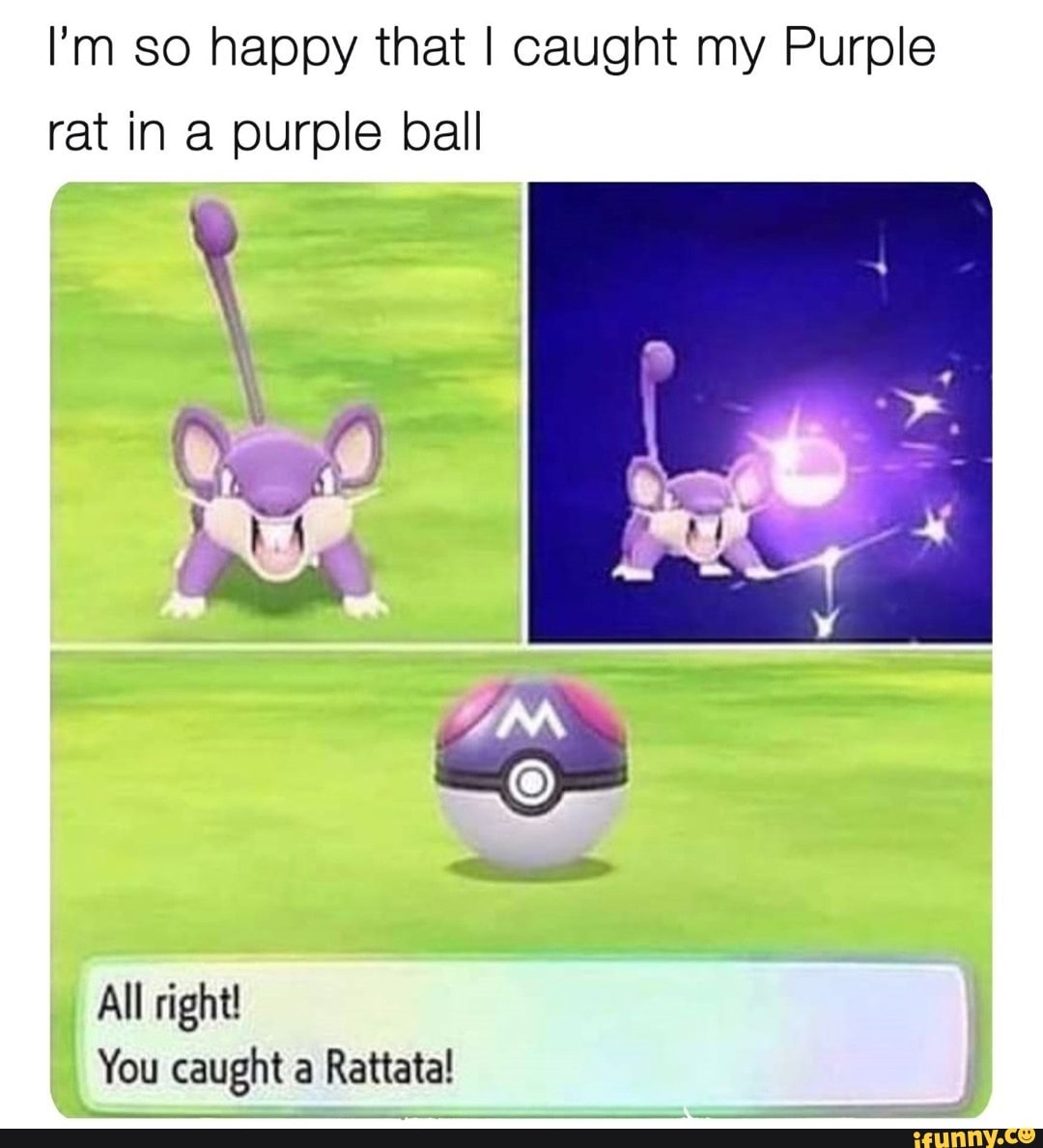 Ratata memes. Best Collection of funny Ratata pictures on iFunny