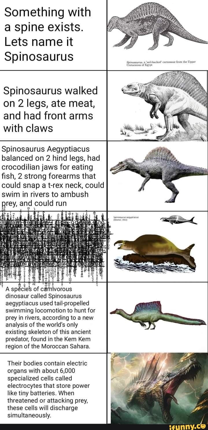 Spinosaurus memes. Best Collection of funny Spinosaurus pictures on iFunny