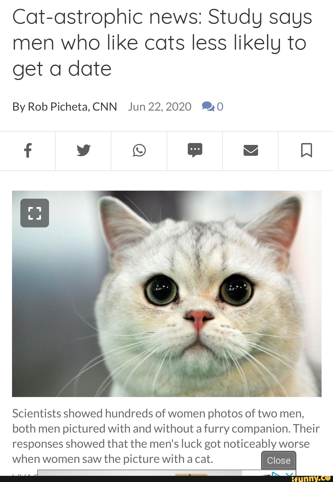 Cat-astrophic news: Study says men who like cats less likely to get a ...