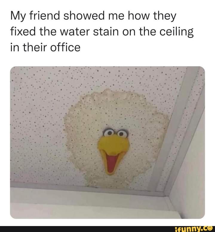 My friend showed me how they fixed the water stain on the ceiling in ...