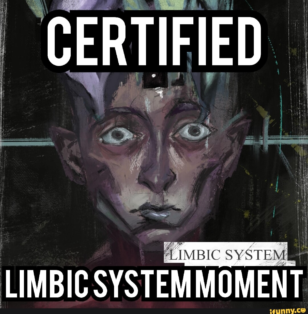 CERTIFIED LIMBIC SYSTEM LIMBIC SYSTEM MOMENT - iFunny