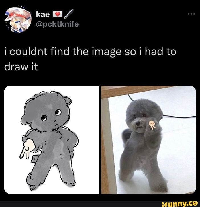 I couldnt find the image so i had to draw it - iFunny