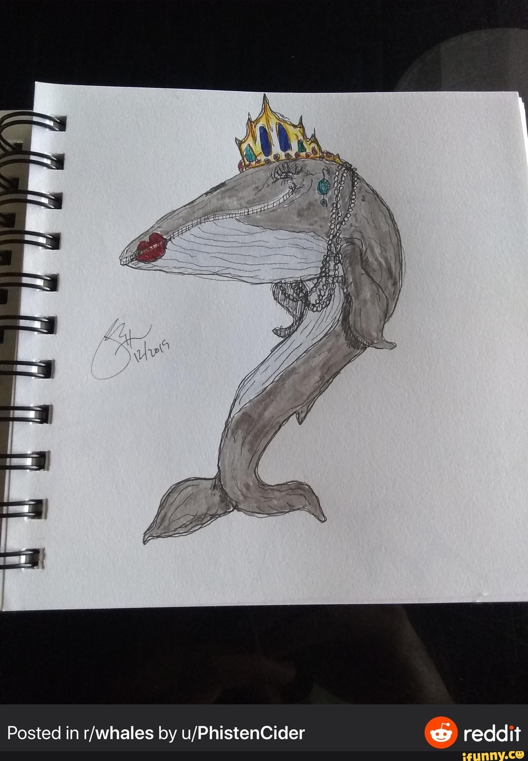 Sassy whale @phistencider on Reddit #whales #ocean #humour #art - Pe ...