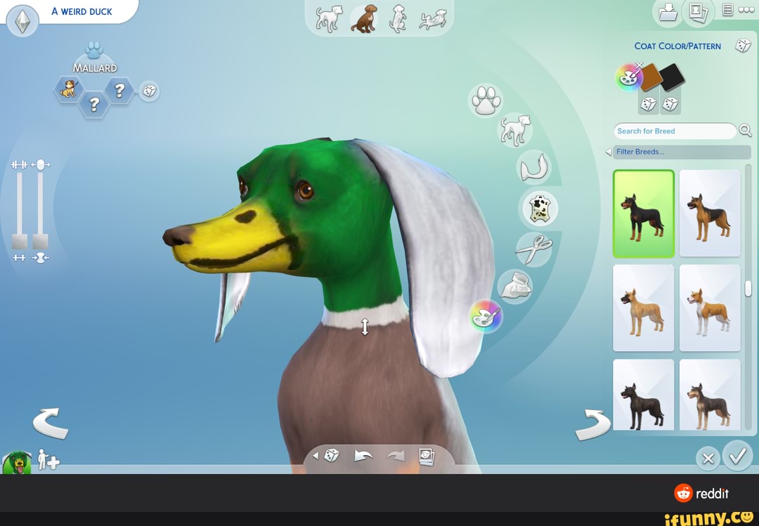 Cursed_duck memes. Best Collection of funny Cursed_duck pictures on iFunny