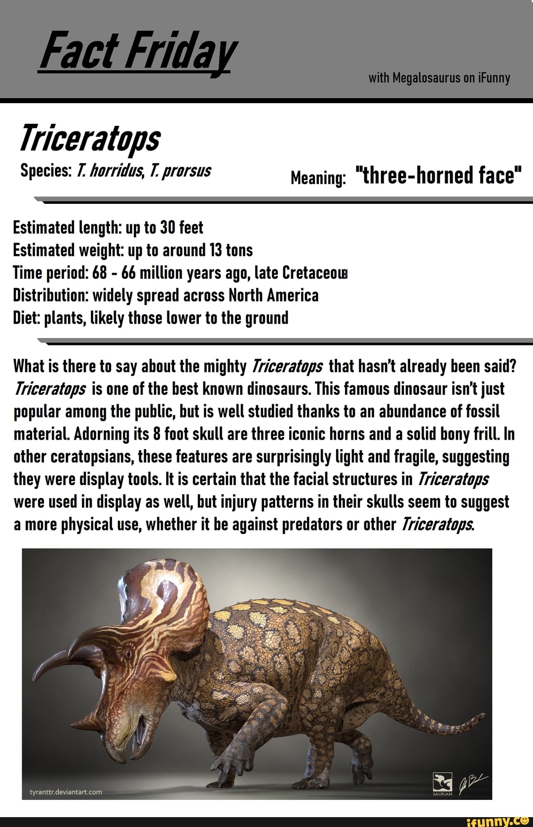 Triceratops with Megalosaurus om Meaning: "three-horned face" Estimated ...