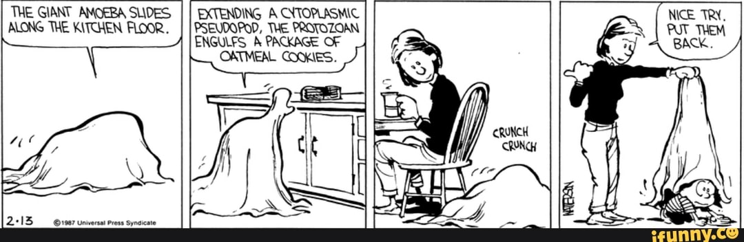 Pseudopod memes. Best Collection of funny Pseudopod pictures on iFunny