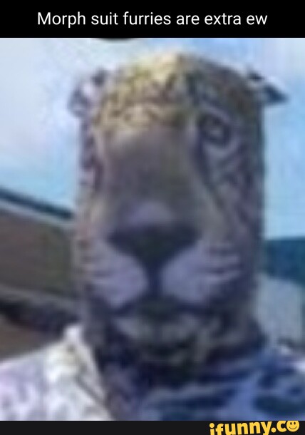 Morph memes. Best Collection of funny Morph pictures on iFunny