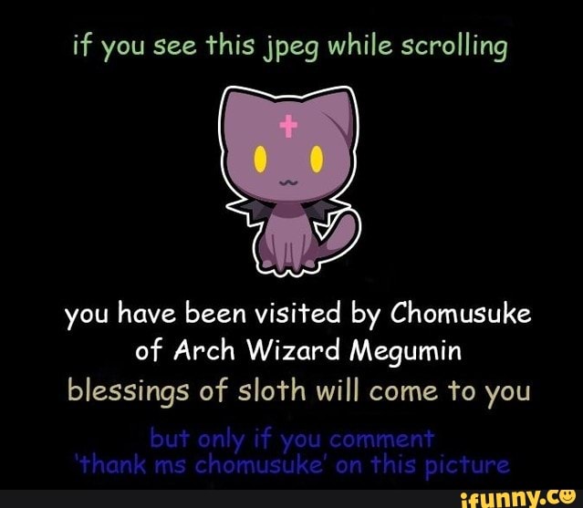 Chomusuke memes. Best Collection of funny Chomusuke pictures on iFunny