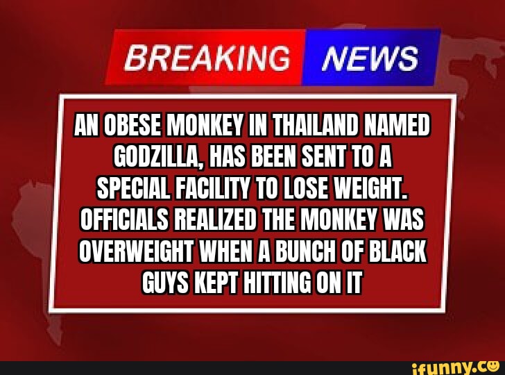 BREAKING NEWS AN OBESE MONKEY IN THAILAND NAMED GODZILLA, HAS BEEN SENT ...