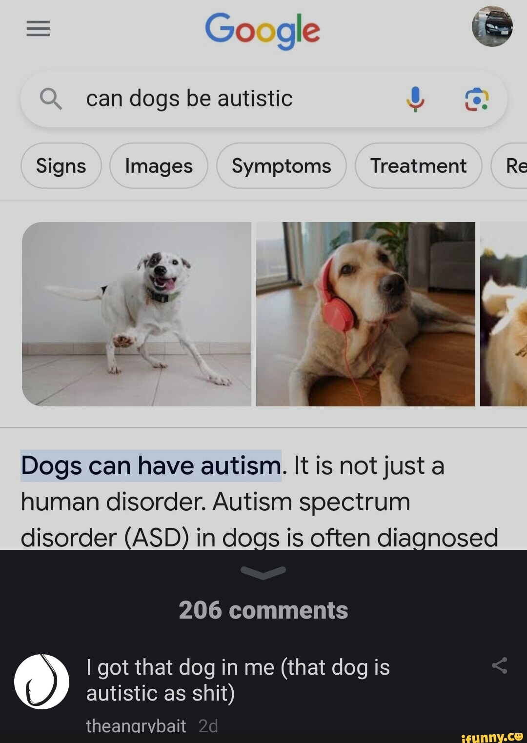 = Go gle can dogs be autistic G, Signs Images Symptoms Treatment Re Ii ...