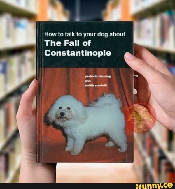 How to talk to your dog about The Fall of Constantinople - iFunny