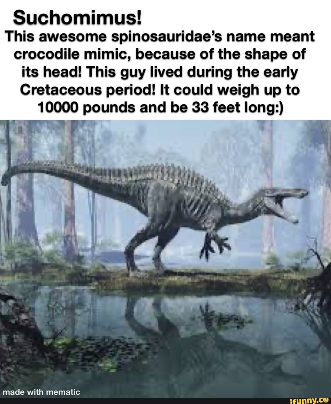 Spinosauridaes memes. Best Collection of funny Spinosauridaes pictures ...