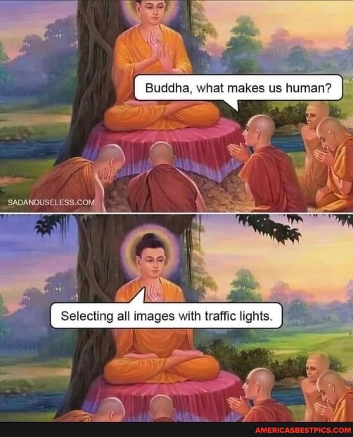 Buddha, what makes us human? Ln * Selecting all images with traffic lights. - America’s best ...