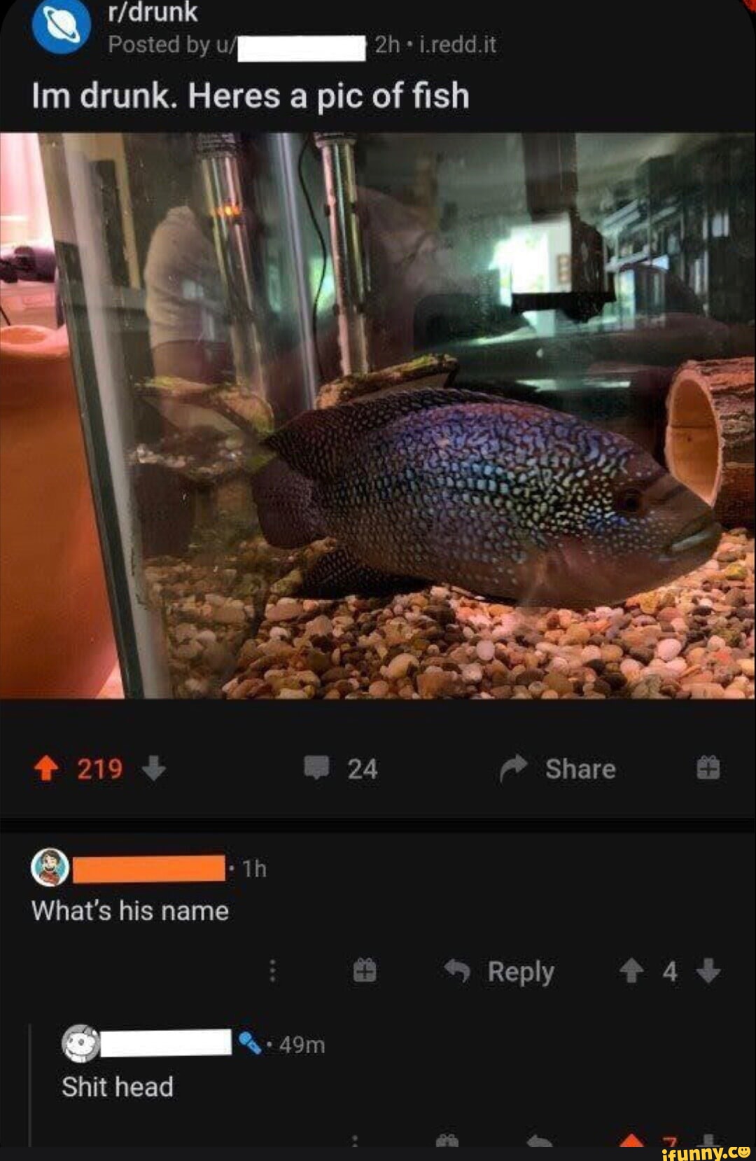 Rerun memes. Best Collection of funny Rerun pictures on iFunny