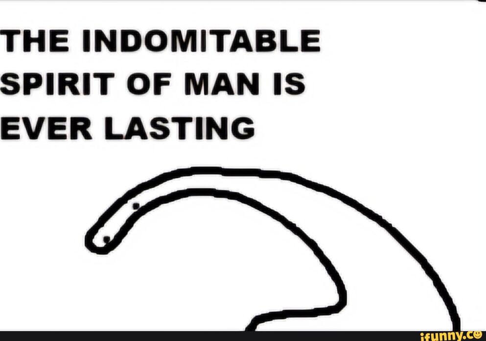 Indomitable memes. Best Collection of funny Indomitable pictures on iFunny