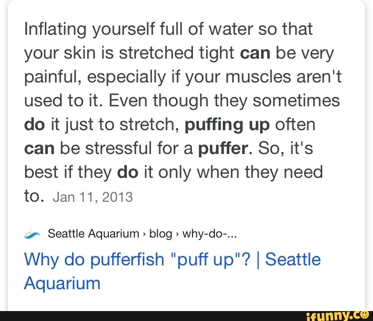 Inflating yourself full of water so that your skin is stretched tight ...
