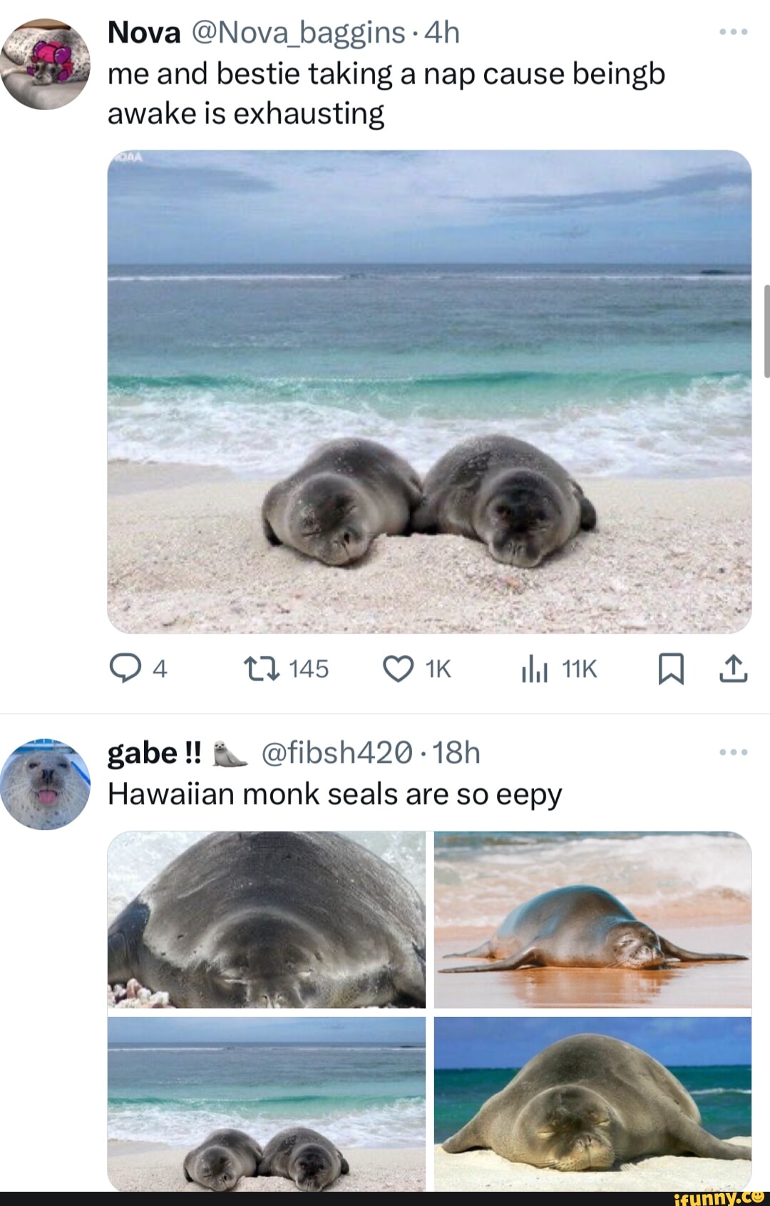 Seals memes. Best Collection of funny Seals pictures on iFunny