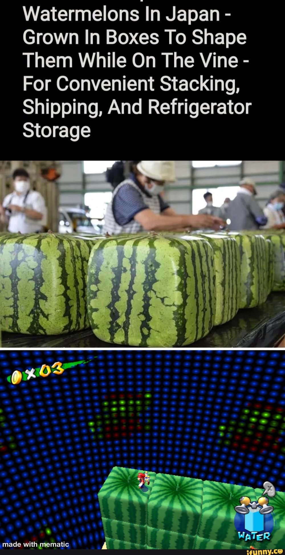 Watermelons memes. Best Collection of funny Watermelons pictures on iFunny