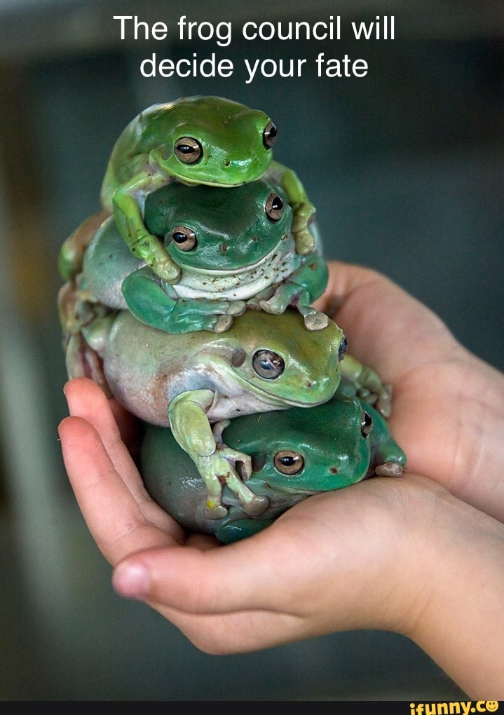 Fweind memes. Best Collection of funny Fweind pictures on iFunny