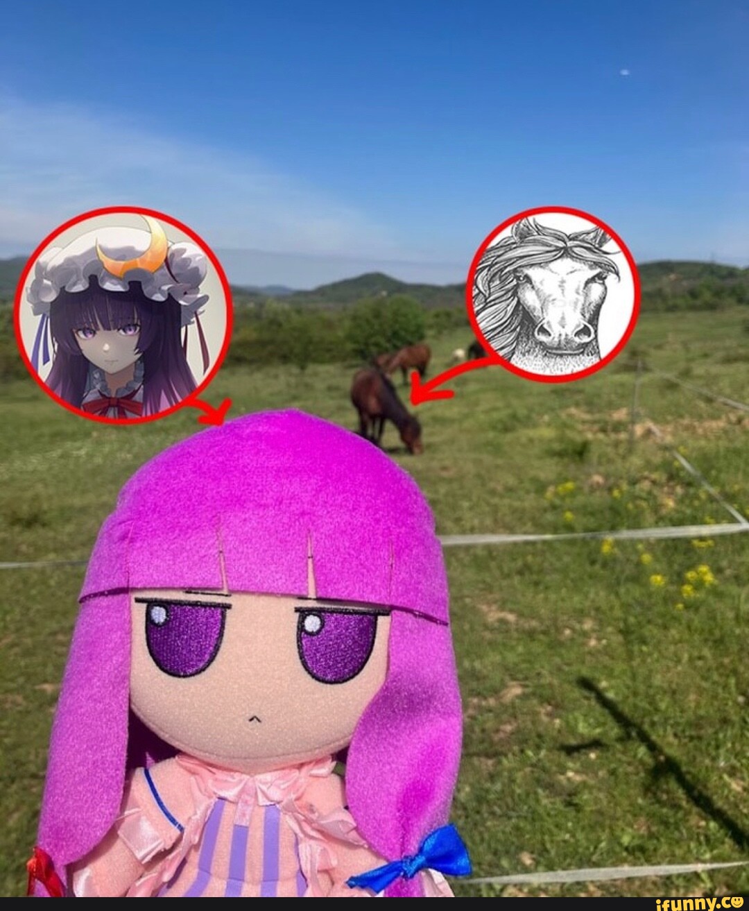 Patchouli memes. Best Collection of funny Patchouli pictures on iFunny