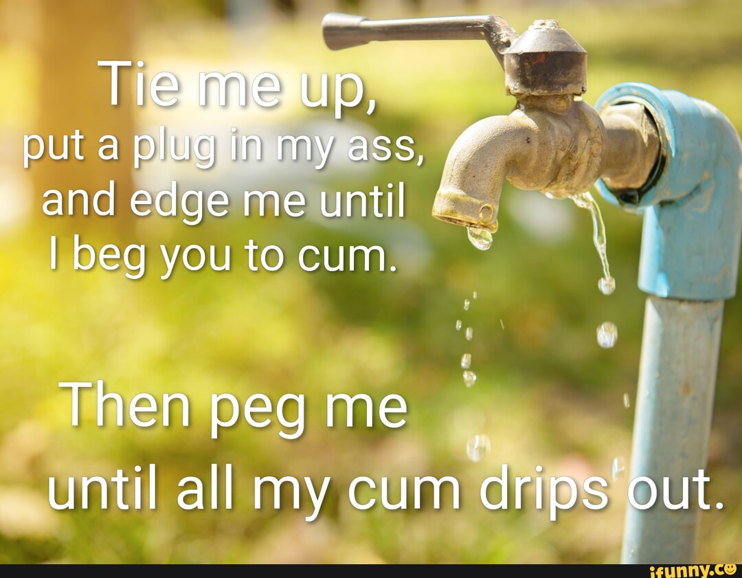Peg memes. Best Collection of funny Peg pictures on iFunny