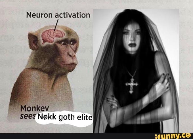 Neuron activation Monkev sees Nokk goth elite - iFunny Brazil