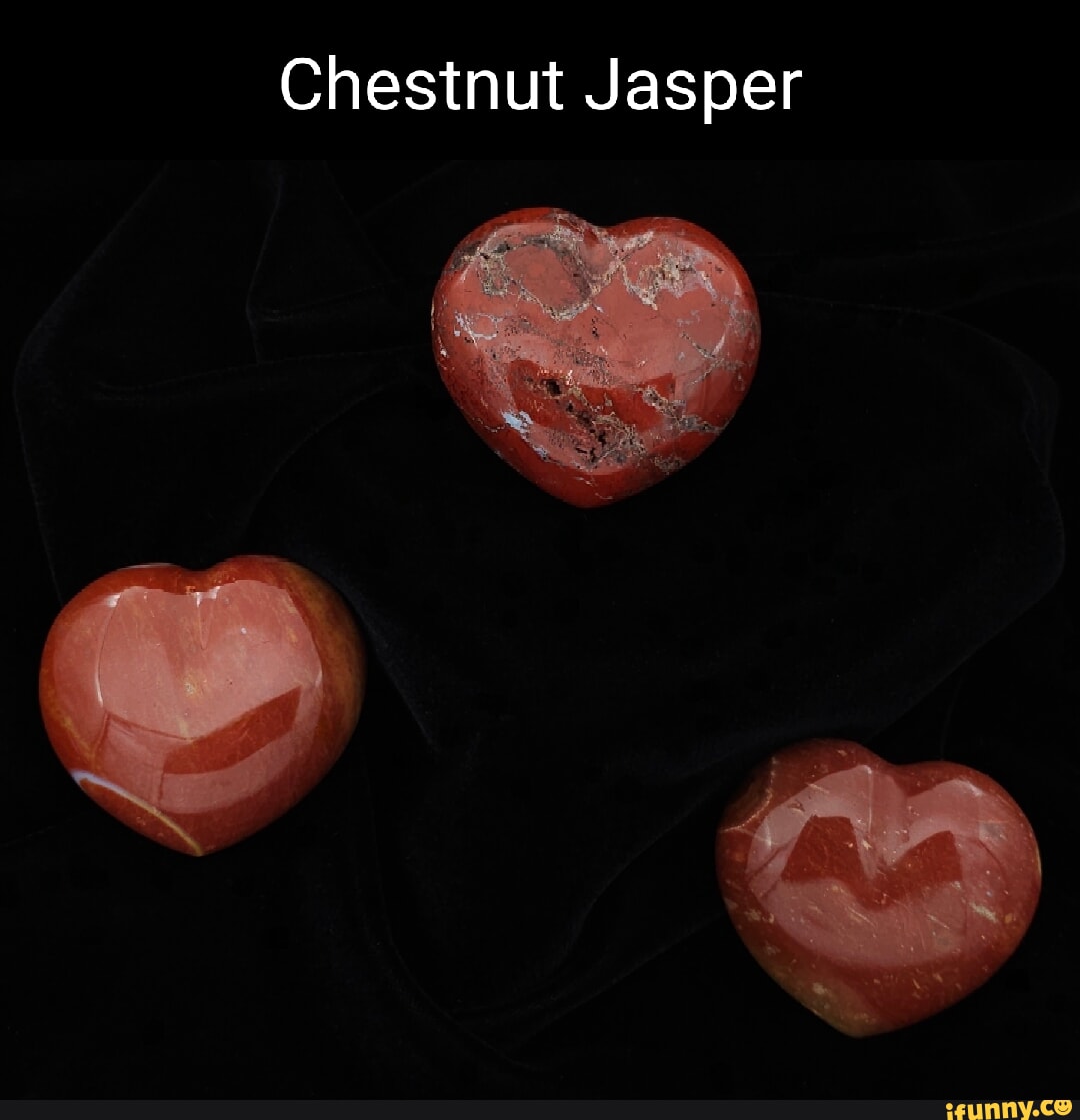 Jasper memes. Best Collection of funny Jasper pictures on iFunny