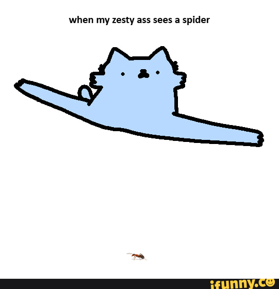 Scared of spiders - scared of spiders when my zesty ass sees a spider ...