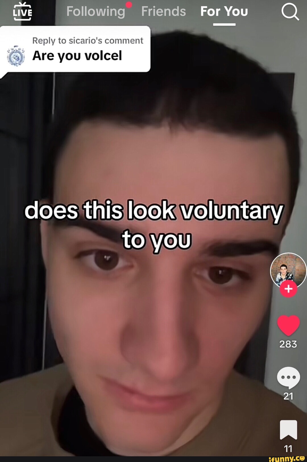 Volcel memes. Best Collection of funny Volcel pictures on iFunny