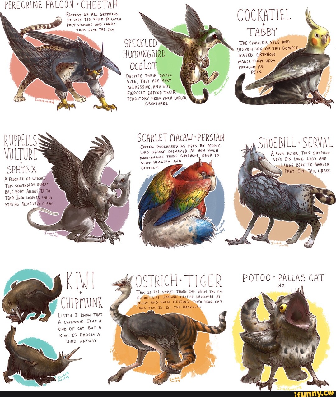 PEREGRINE FALCON CHEETAH TAH Fastest OF ALL GRYPHONS, Tr uses TES $PEED ...