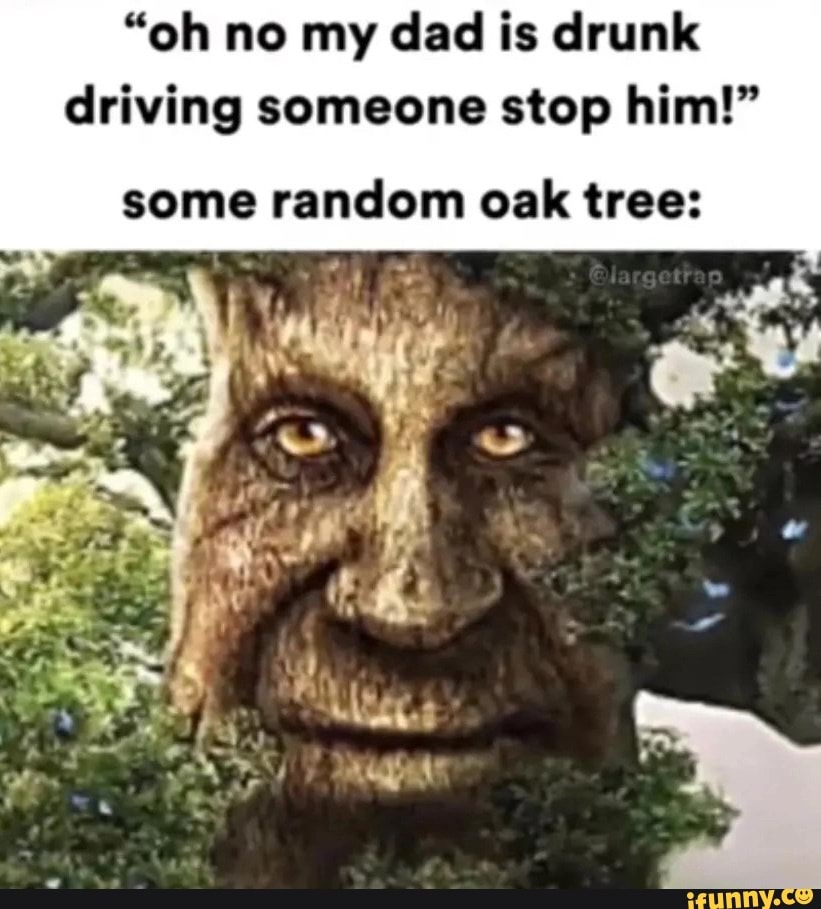 "oh no my dad is drunk driving someone stop him!" some random oak tree ...