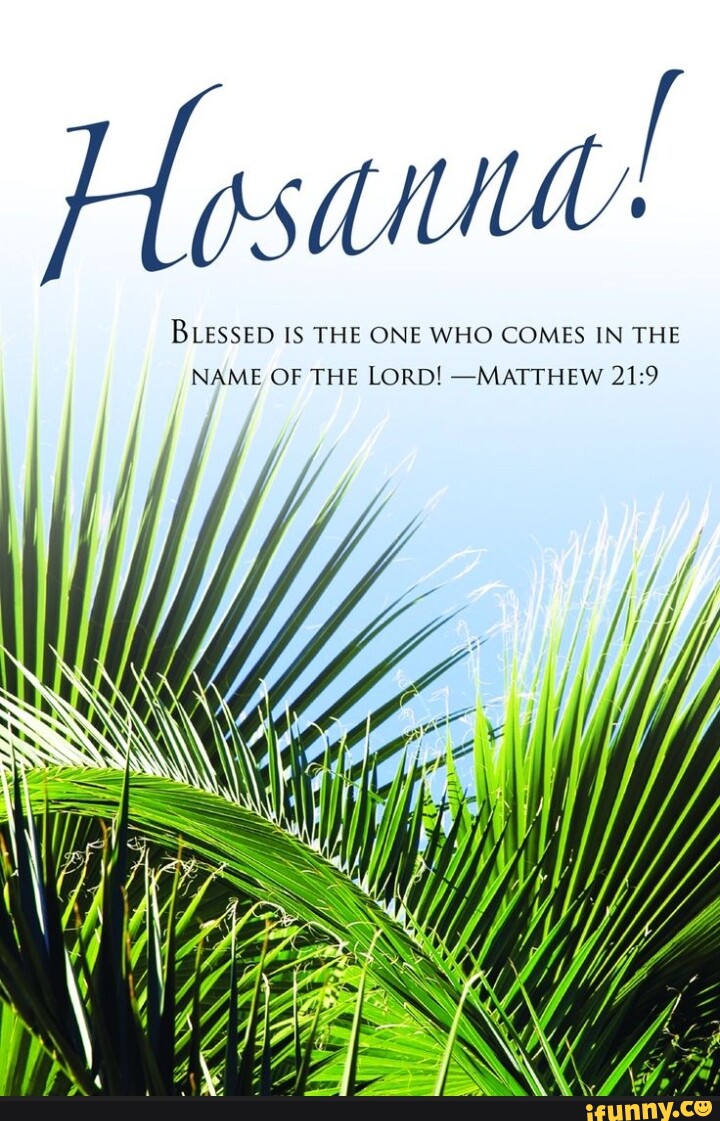 Hosanna! BLESSED IS THE ONE WHO COMES IN THE NAME OF THE LORD! -MATTHEW ...
