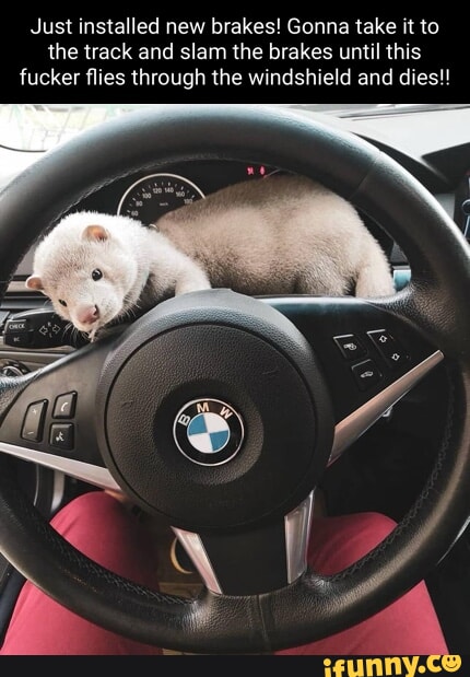 Beamer Memes Mono BEAMER FEAT. XAVIERSOBASED : R/mymusic