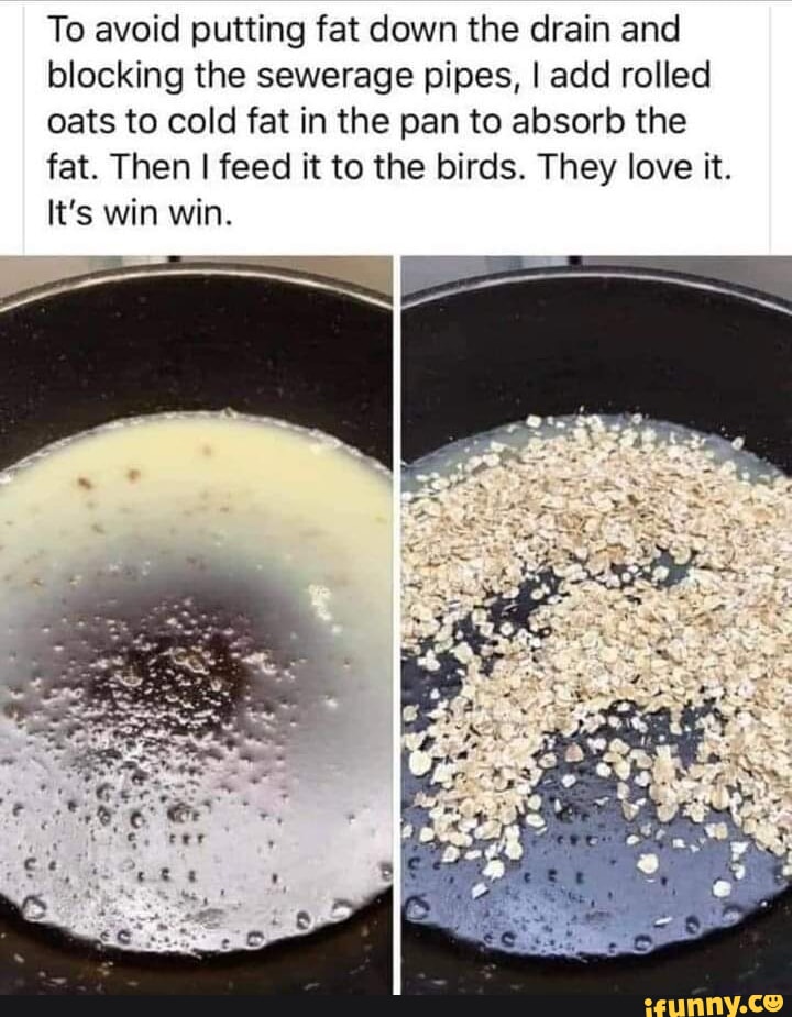 Oats memes. Best Collection of funny Oats pictures on iFunny