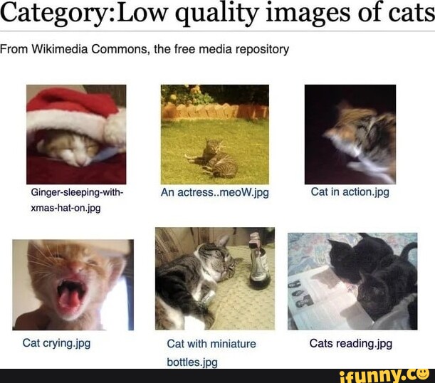 Repository memes. Best Collection of funny Repository pictures on iFunny