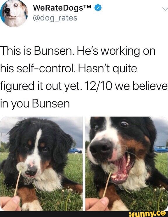 Bunsen memes. Best Collection of funny Bunsen pictures on iFunny