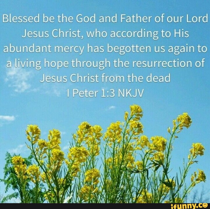 Blessed be the God and Father of our Lord Jesus Christ, who according ...
