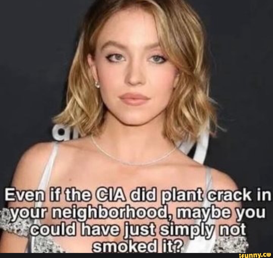 Pyernu tie cic plant crack could fave pust sinisly - iFunny