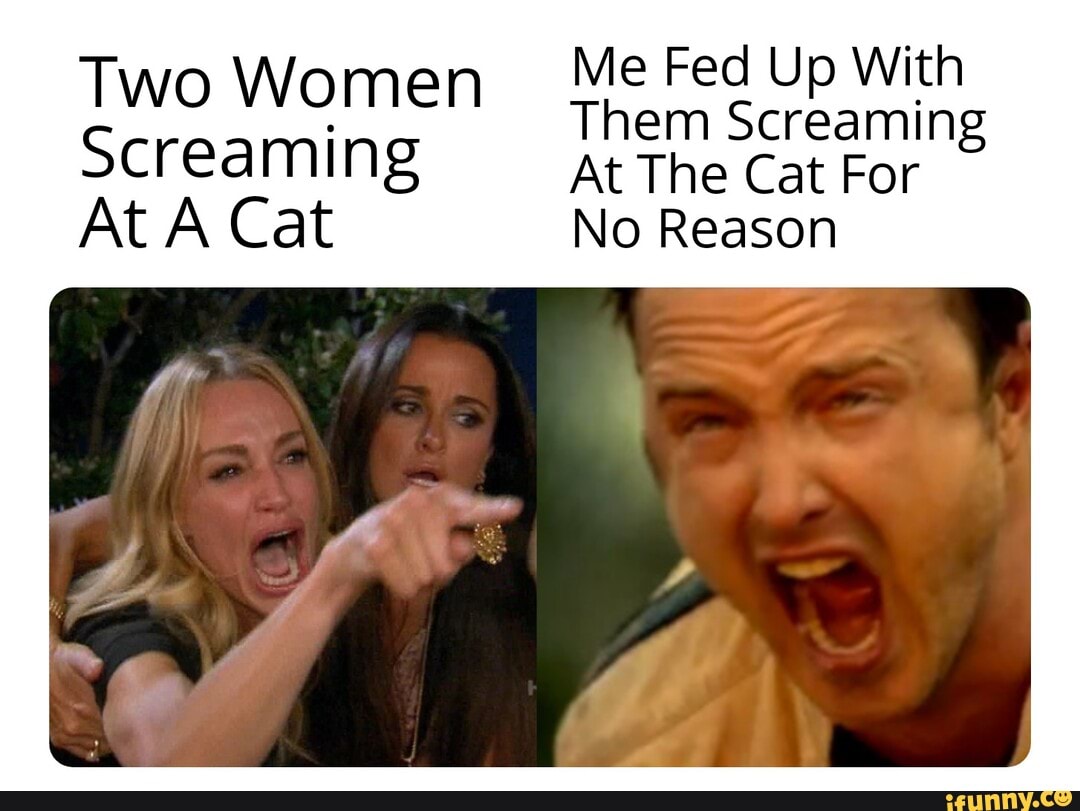 Stop Screaming At The Cat!!! - Two Women Me Fed Up With Them Screaming ...