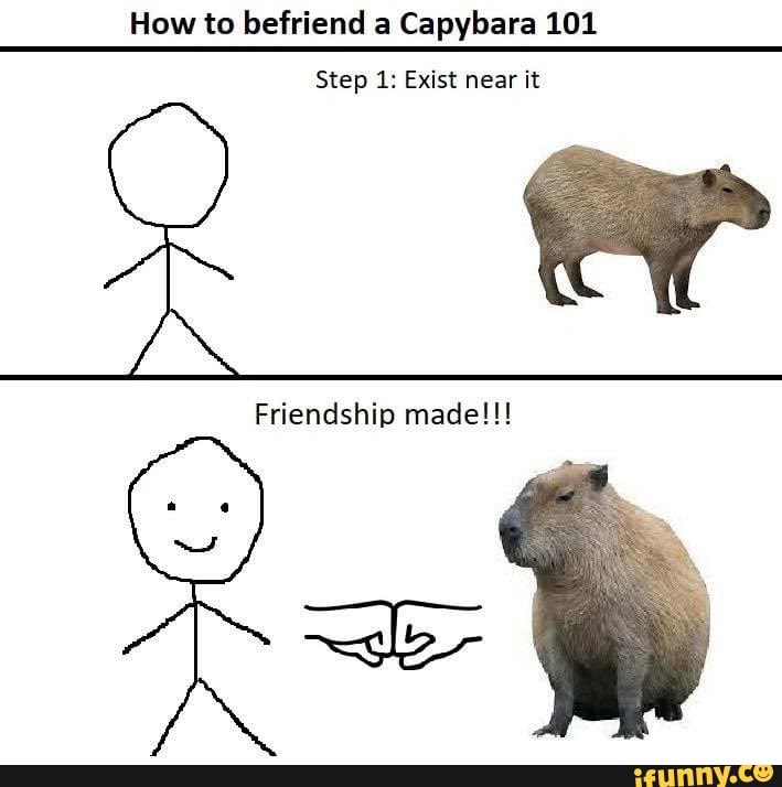 How to befriend a Capybara 101 Step 1: Exist near it Friendship made ...