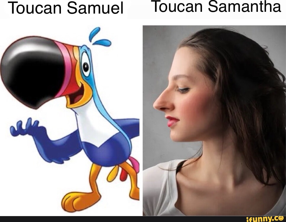 Toucan Sam Memes
