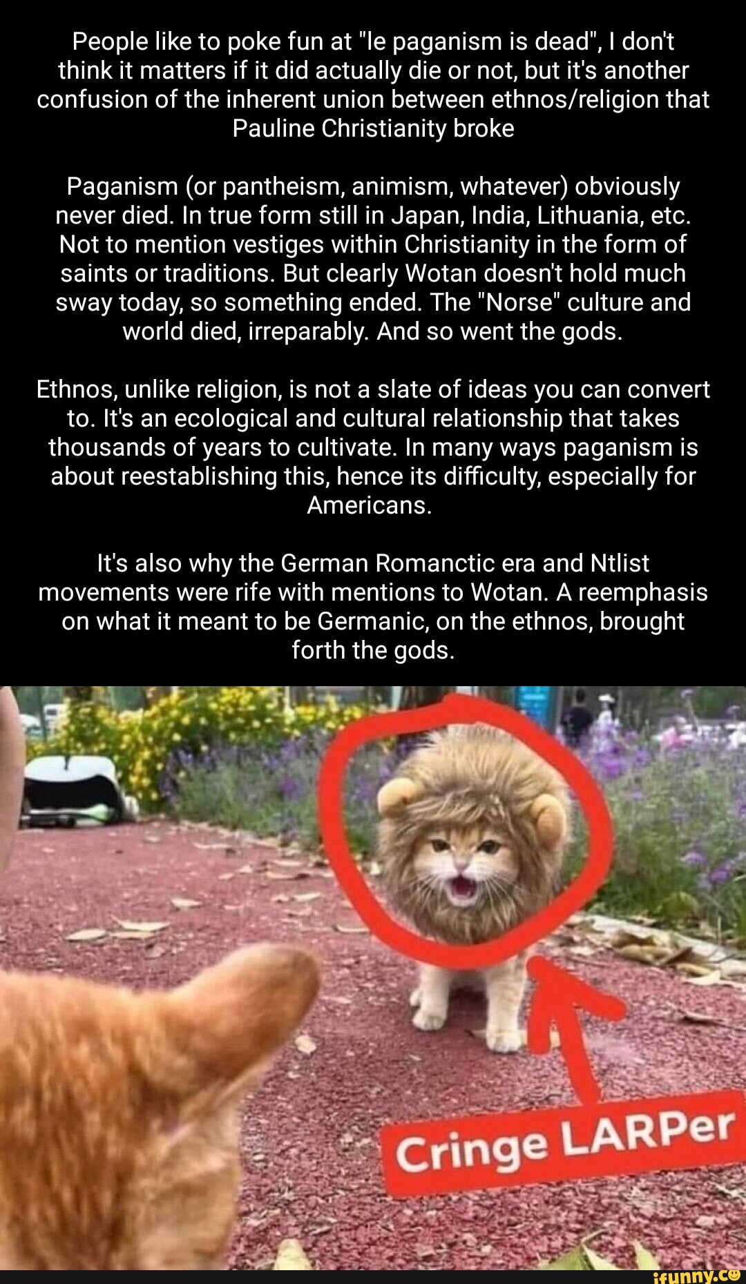 Pauline memes. Best Collection of funny Pauline pictures on iFunny