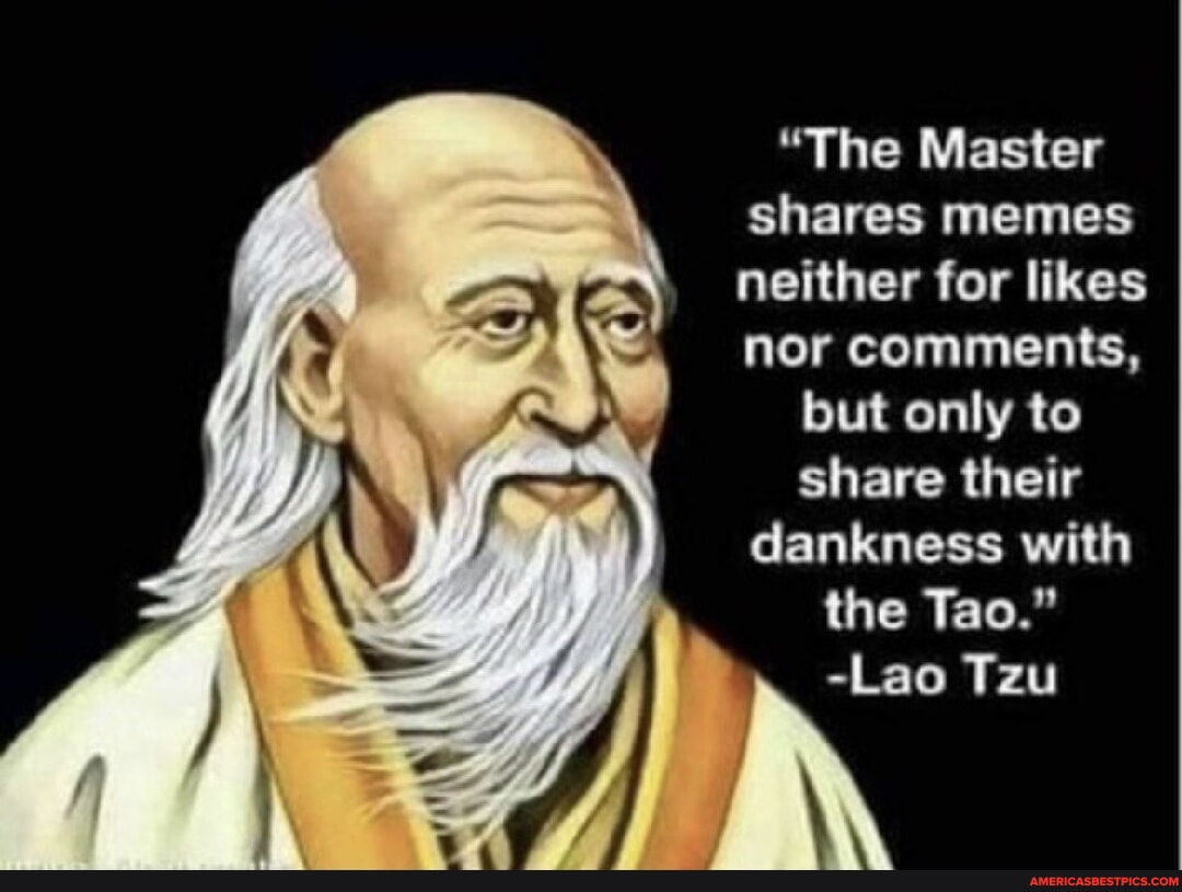 "The Master shares memes neither for likes nor comments, but only to ...