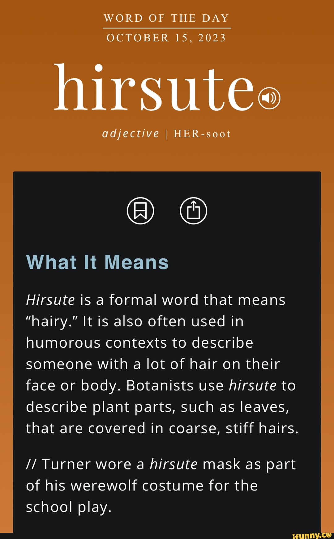 WORD OF THE DAY OCTOBER 15, 2023 hursutee adjective I HER-soot What It ...