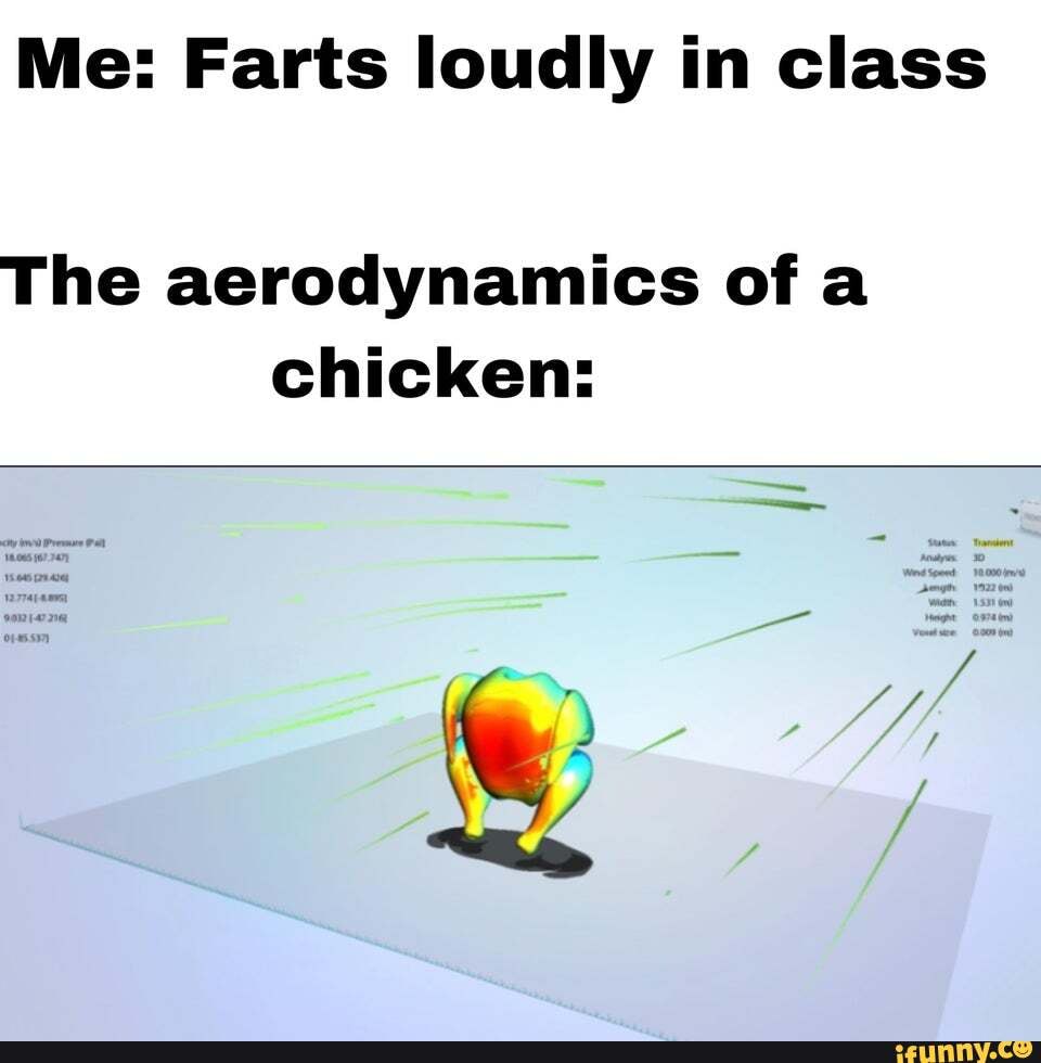 Me: Farts loudly in class The aerodynamics of chicken: - iFunny